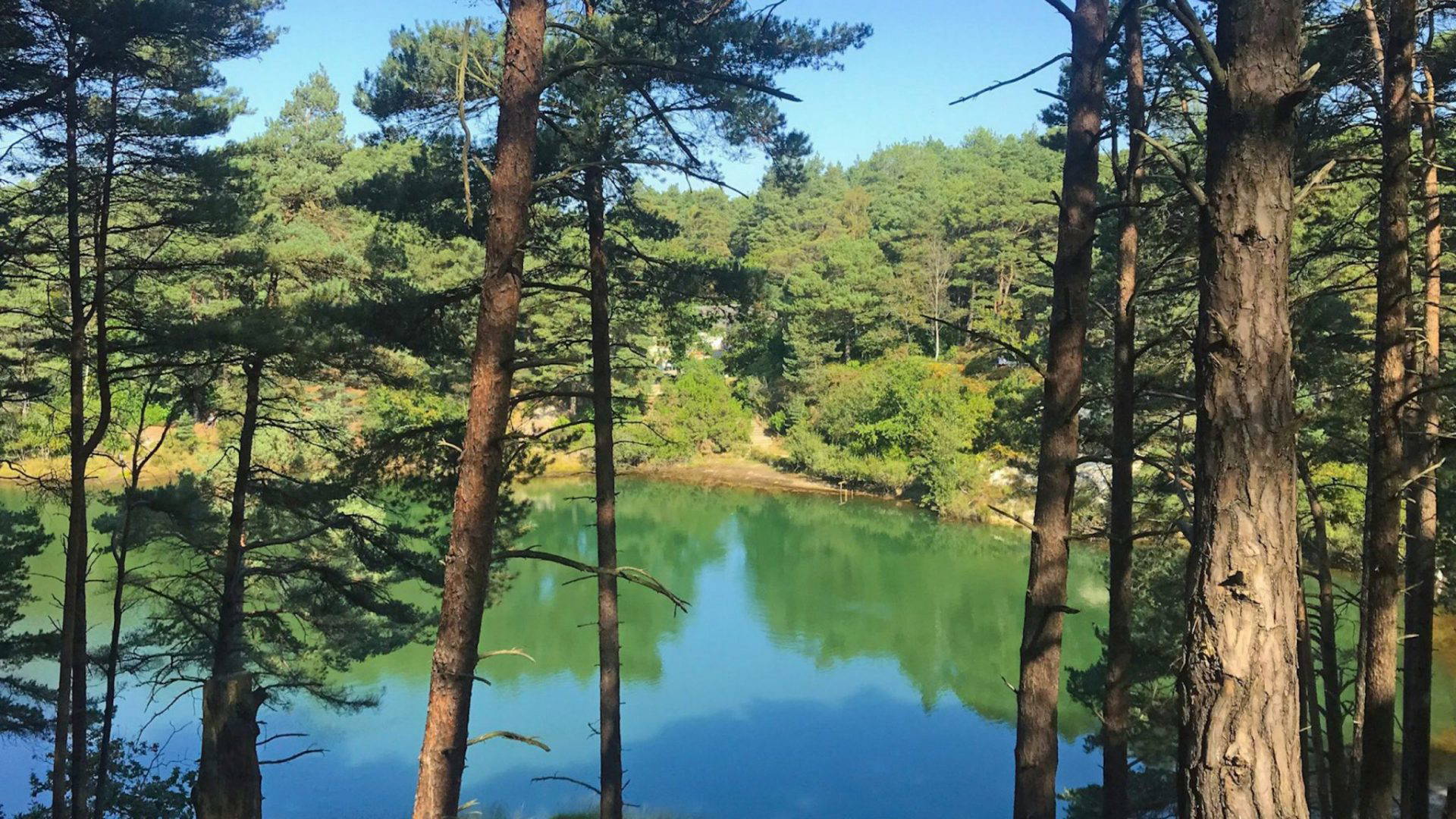 Useful Info - Cinema at the Blue Pool - Alfresco Film Company